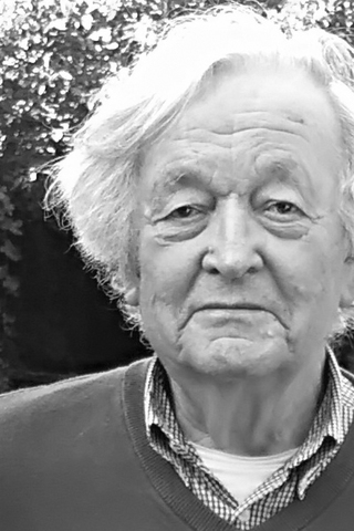 Theo van Boven - Geschichte Menschenrechte