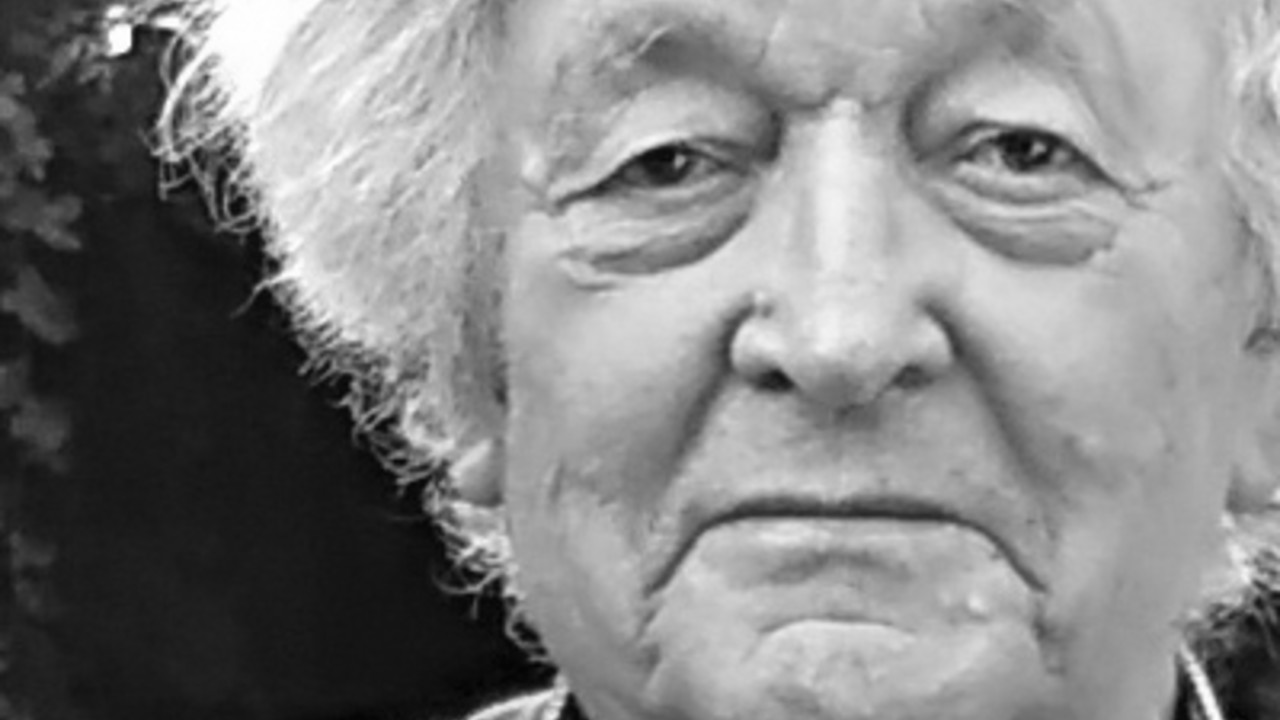 Theo van Boven - Geschichte Menschenrechte